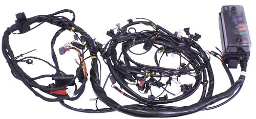 main harness - Parts