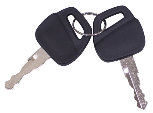 KEY ASSEMBLY (2 KEYS ON RING) - Parts